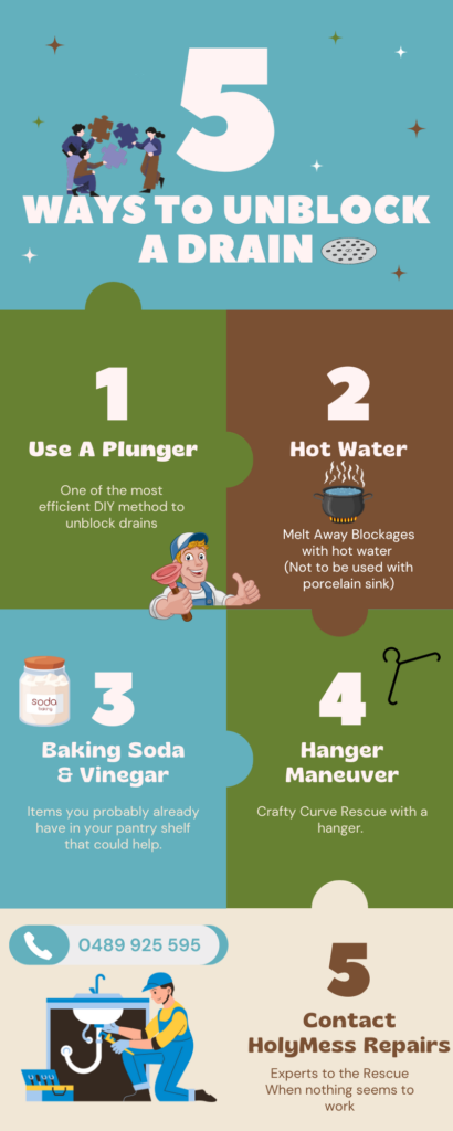 5 Ways To Unblock A Drain At Home 2025 (Infographic)