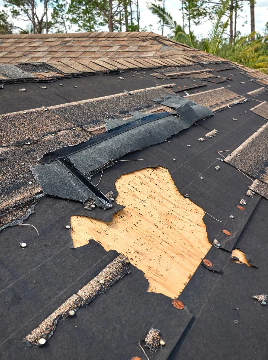 Kensington Roof Repairs & Restoration | Roof Leak Repair